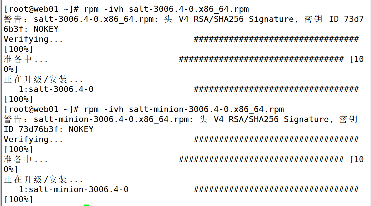 SaltStack部署应用-CSDN博客