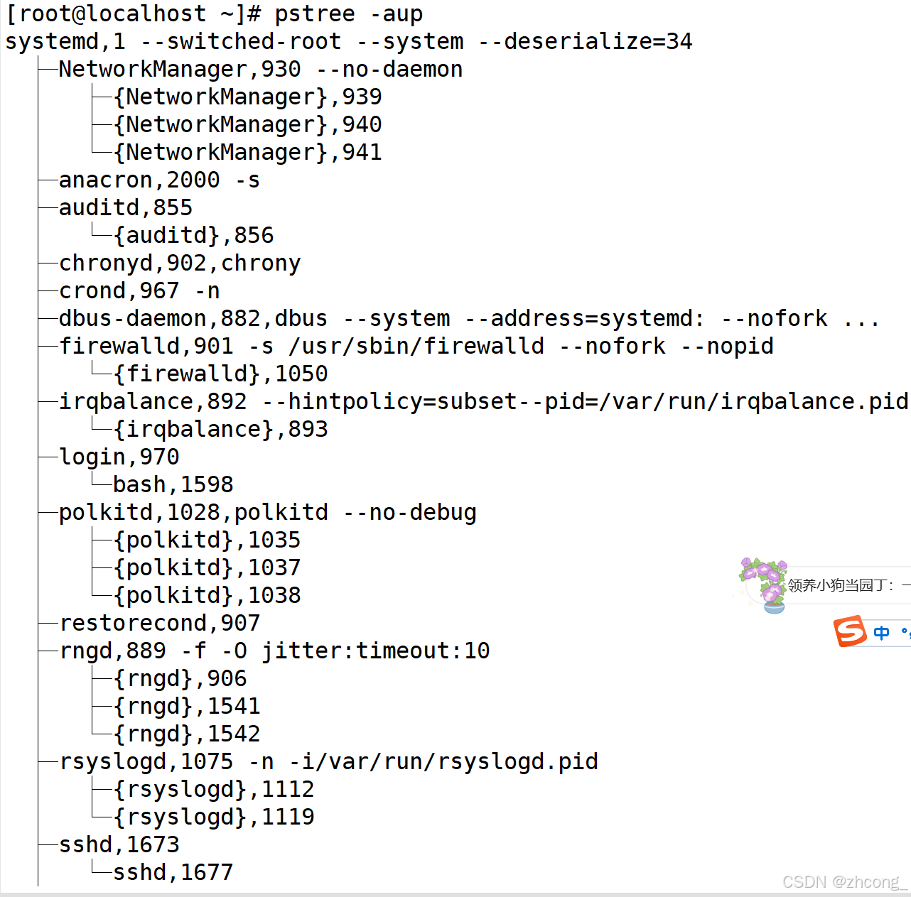 Linux 进程和计划任务管理-CSDN博客