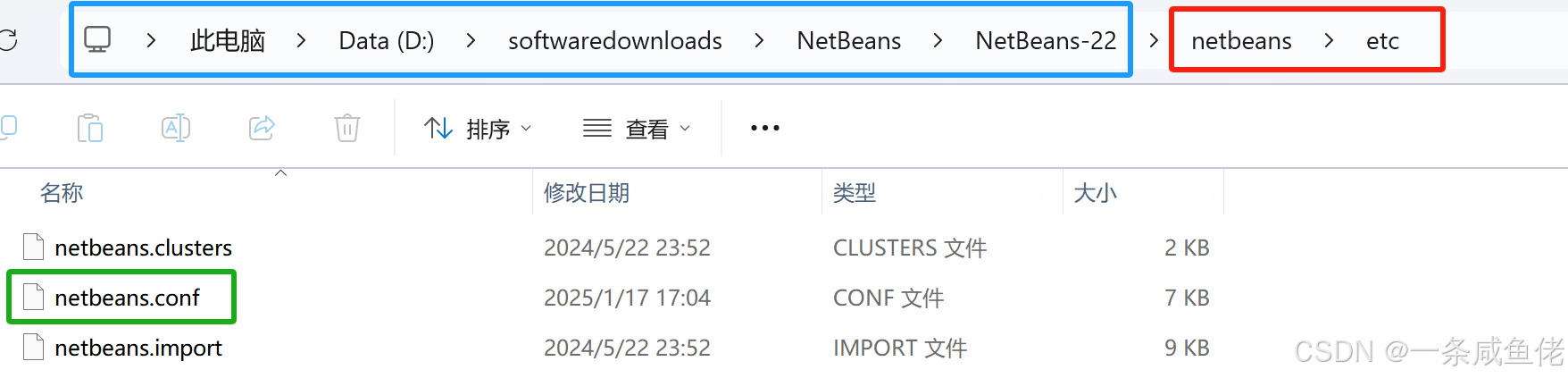 NetBeans22安装后无法打开？_netbeans无法启动-CSDN博客