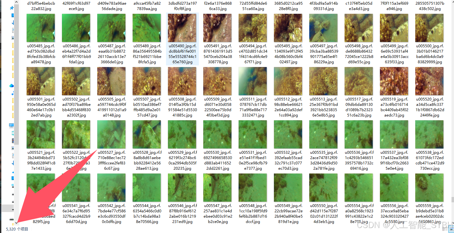 基于深度学习YOLOv8的水下生物识别检测系统（YOLOv8+YOLO数据集+UI界面+Python项目源码+模型）_海鱼超声波识别监测-CSDN博客