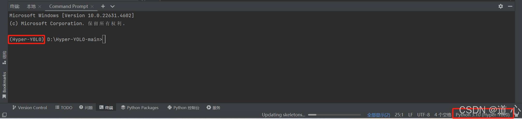 Hyper-YOLO保姆级教程-CSDN博客