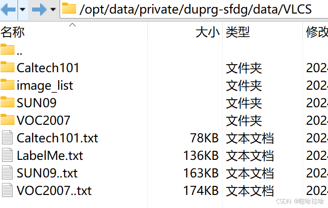 复现论文：Domain-Unified Prompt Representations for Source-Free Domain Generalization-CSDN博客