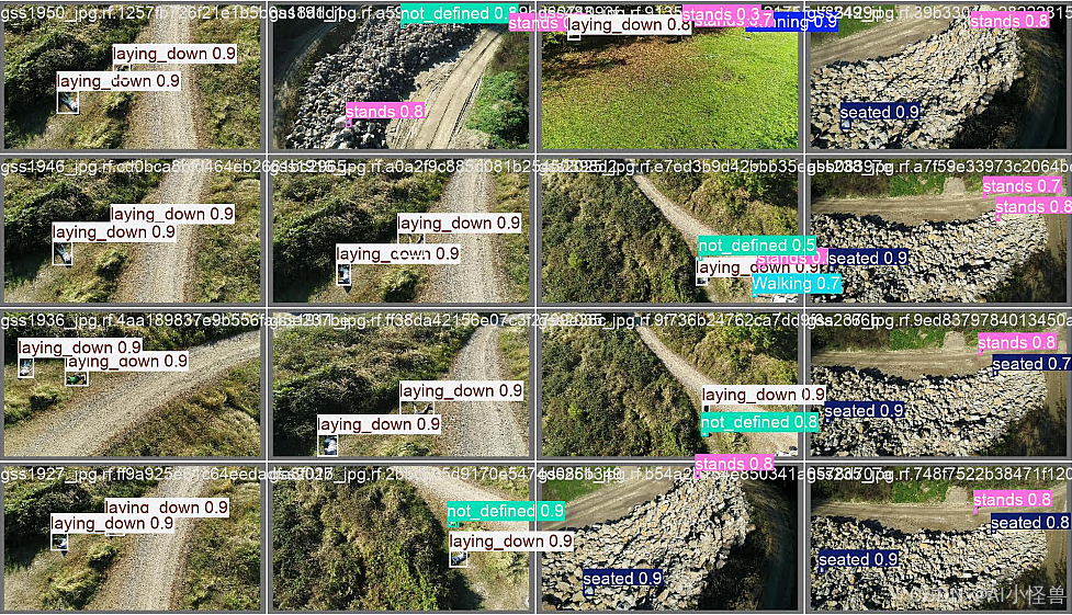 基于YOLO11的搜索与救援（大疆无人机）检测系统（Python源码+数据集+Pyside6界面）_sard 无人机搜救数据集-CSDN博客