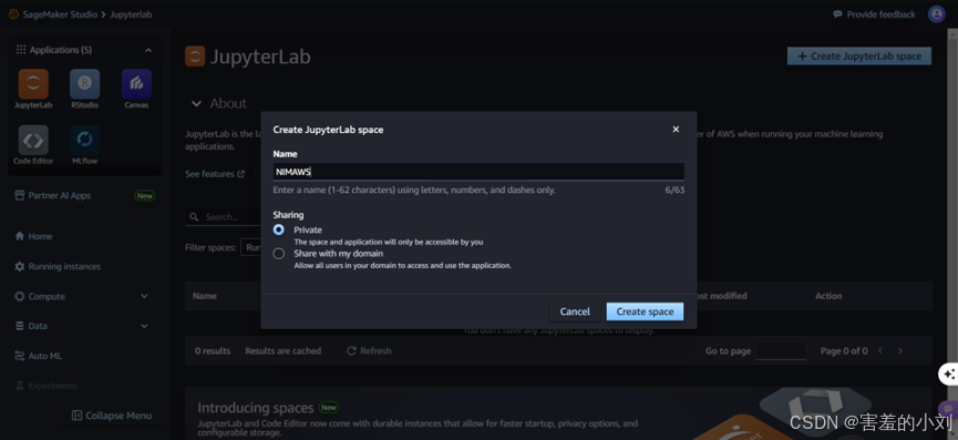 [11th Hackathon] When AWS meets NVIDIA-NIM: Try Your First Chat Robot!-CSDN博客