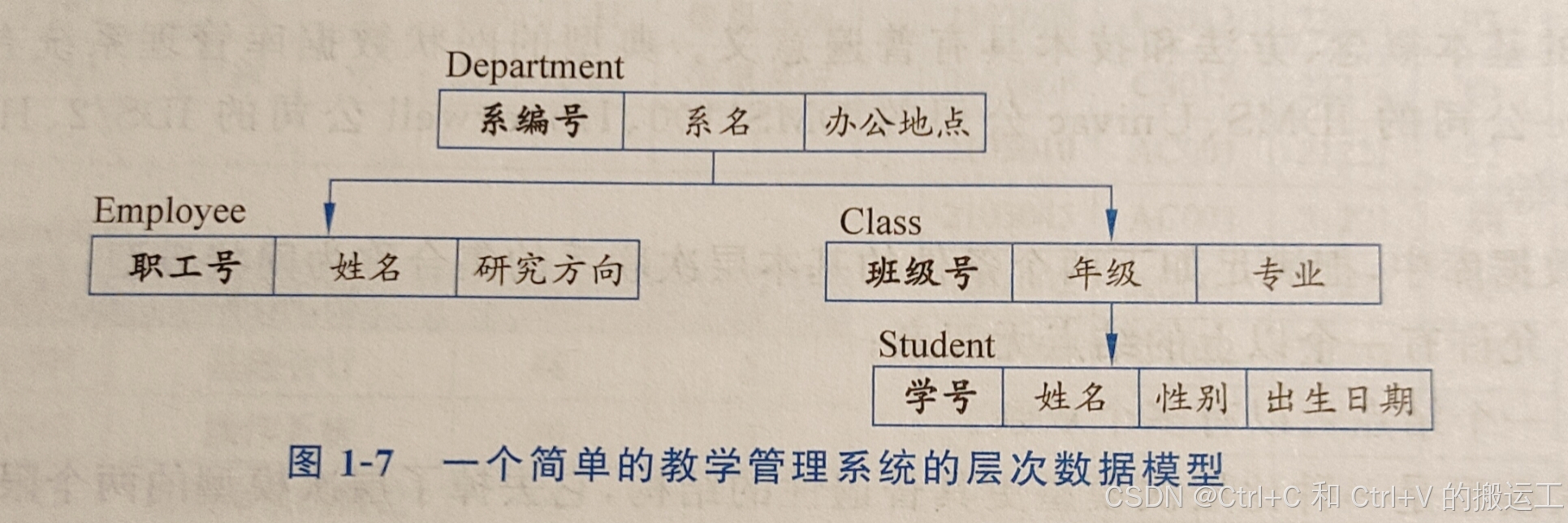 01 数据库系统和数据模型 Csdn博客 6919