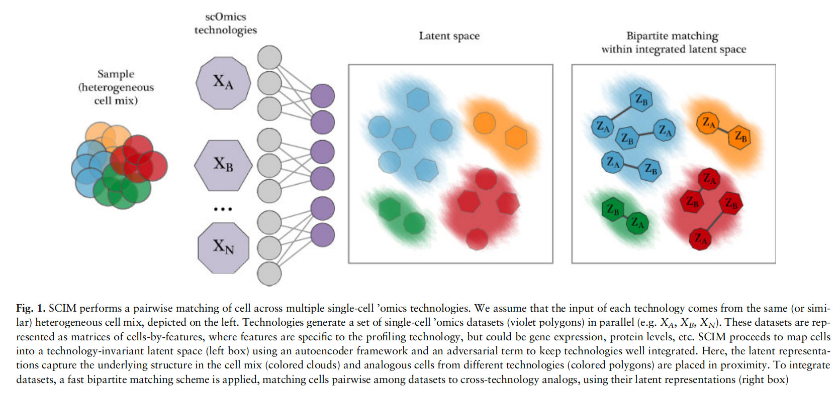 《SCIM: universal single-cell matching with unpaired feature sets》-CSDN博客