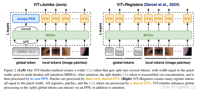 Simpler Fast Vision Transformers with a Jumbo CLS Token——更简单的快速视觉变换器与巨型分类令牌_cls令牌-CSDN博客