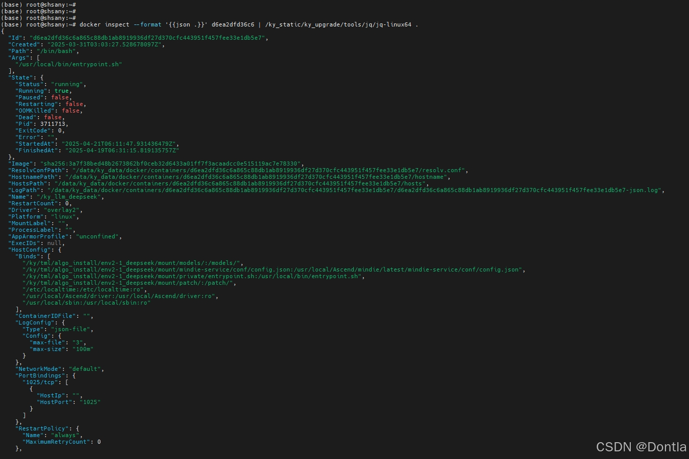 Docker --format 参数介绍（Docker format、Docker -f）（自定义命令输出格式）Docker命令、Docker格式化输出、Docker显示挂载、Docker监控 ...