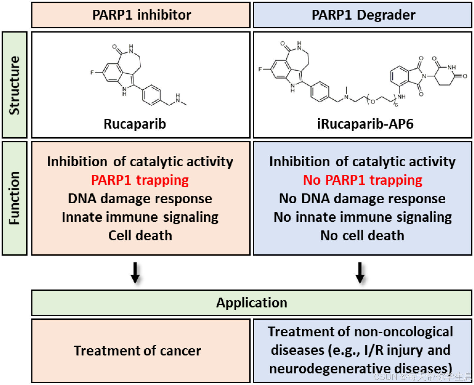 PARP1：一种在DNA损伤应答中发挥关键作用的聚合酶-CSDN博客