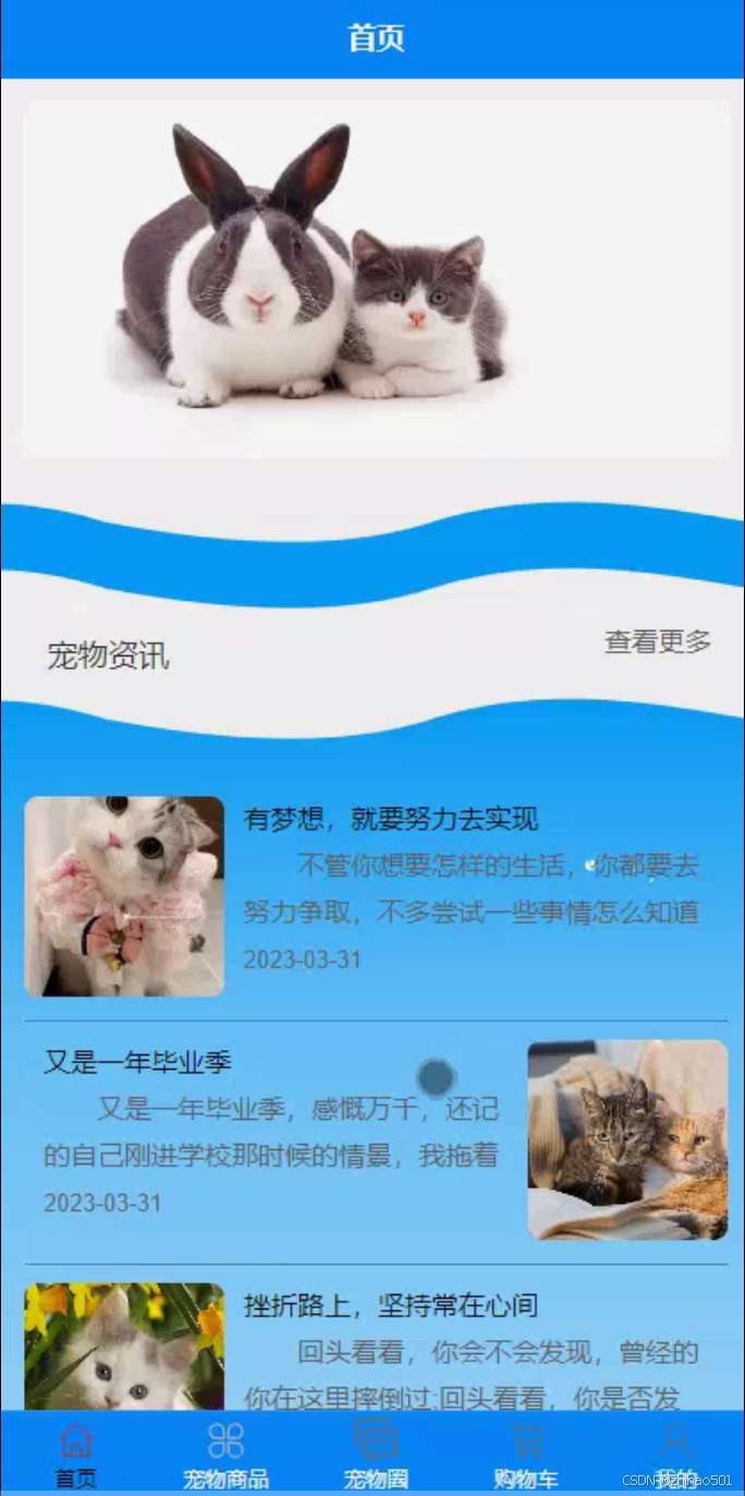 基于pythonflask框架的基于微信小程序的宠物商城小程序端（开题程序论文） 计算机毕设 Csdn博客