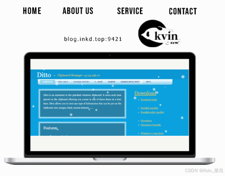 【资源篇】剪贴板-神器Ditto，让你复制粘贴不再痛苦_ditto软件-CSDN博客