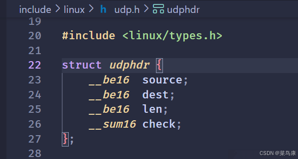 Linux网络编程——UDP协议格式_linux udp 网络包详细格式-CSDN博客
