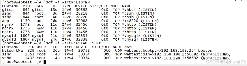 Linux lsof命令-CSDN博客