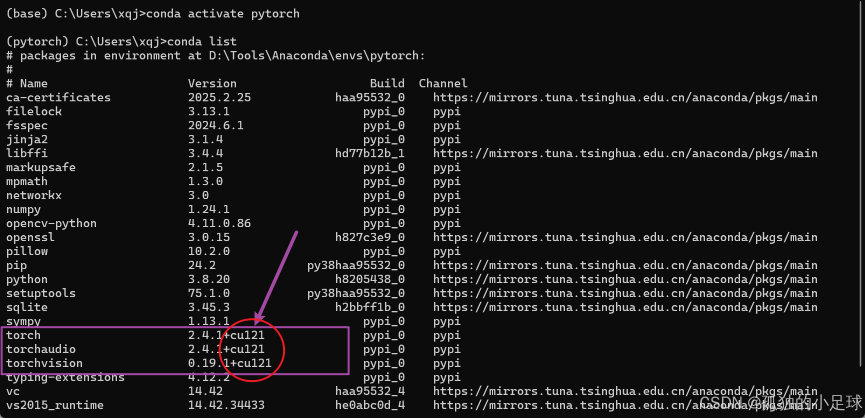 安装Pytorch（GPU版）_nvidia pytorch-CSDN博客