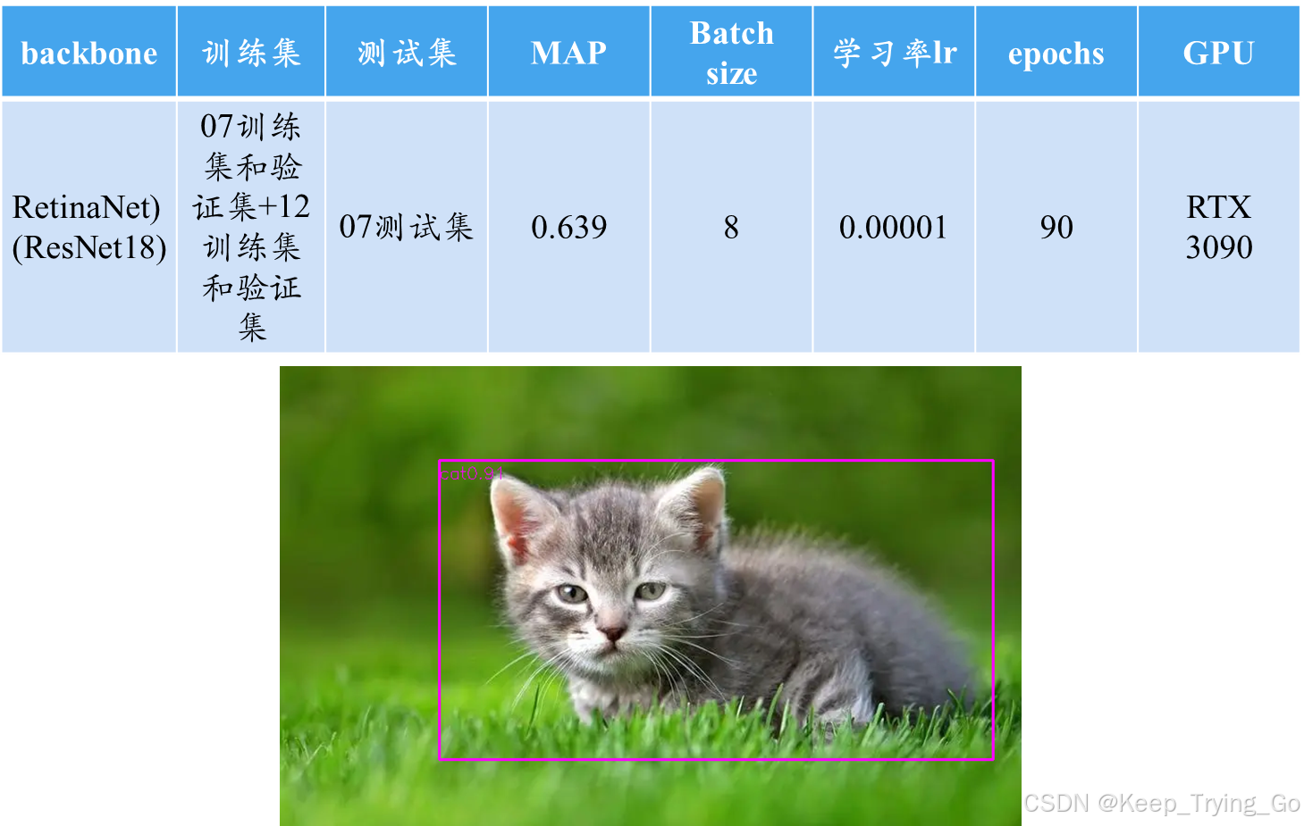 论文Learning Data Augmentation Strategies for Object Detection详解_enhancing monocular 3-d object ...
