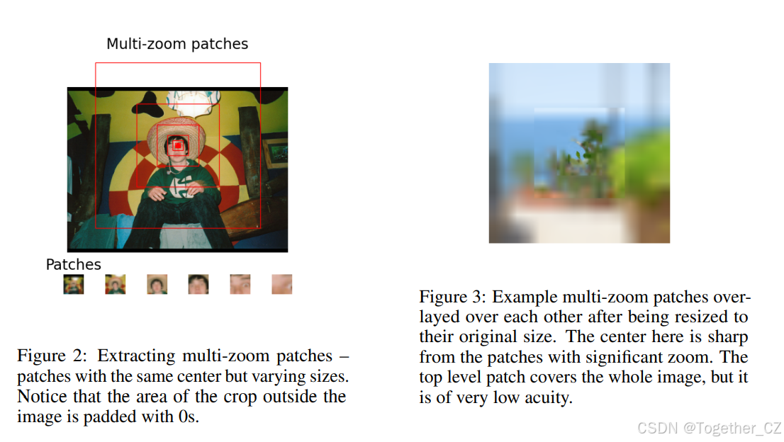 Vision encoders should be image size agnostic and task driven——视觉编码器应与 ...