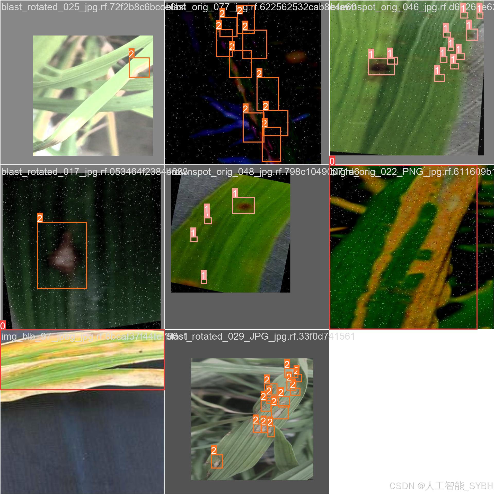 基于深度学习的水稻病害检测系统（YOLOv8+YOLO数据集+UI界面+Python项目+模型）_基于机器学习模型的水稻病虫害识别系统设计与实现代码和运行结果-CSDN博客