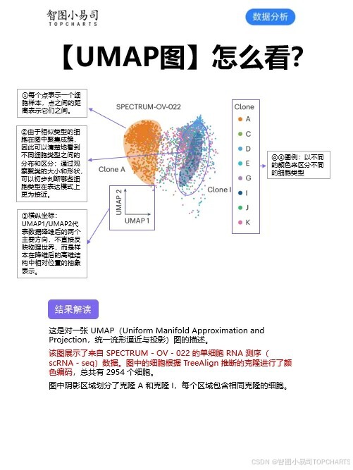 别再懵圈！一文30秒搞懂 UMAP 图，快看-CSDN博客