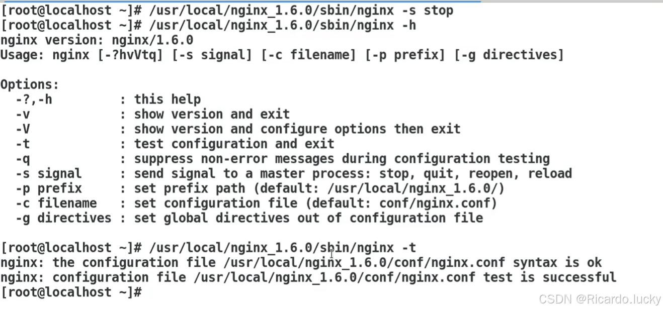 Nginx服务建立_nginx服务器-CSDN博客