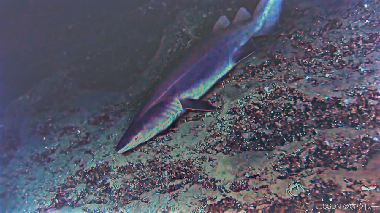 水下图像增强与复原（4）——MSRCR算法matlab/python实现-CSDN博客