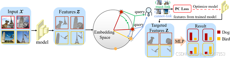 【AAAI-25】Personalized Clustering via Targeted Representation Learning 论文介绍_耿熙文-CSDN博客