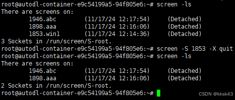 AutoDL使用技巧_autodl screen-CSDN博客