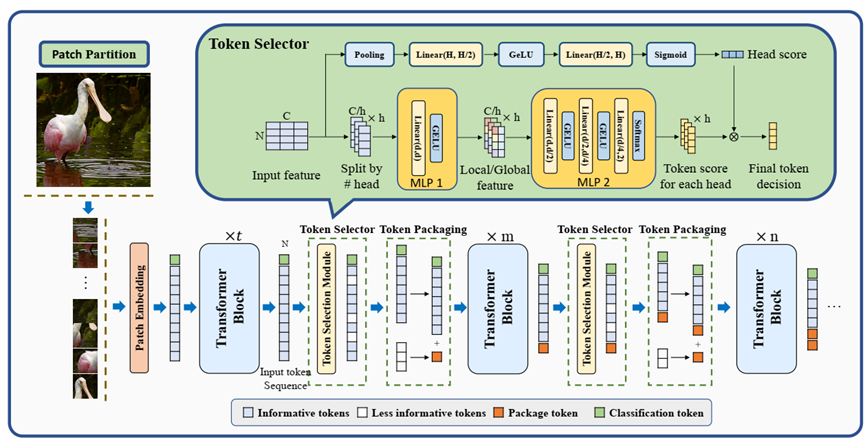 Token Pruning文章总结-CSDN博客
