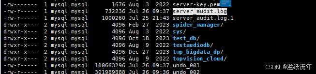 mysql8.0安装server_audit审计_mysql8.0 audit-CSDN博客
