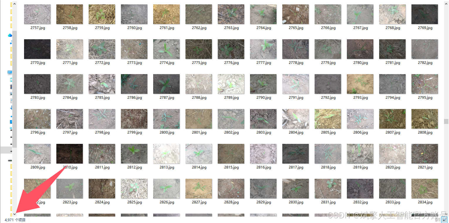 基于深度学习YOLOv11的杂草识别检测系统（YOLOv11+YOLO数据集+UI界面+登录注册界面+Python项目源码+模型）-CSDN博客