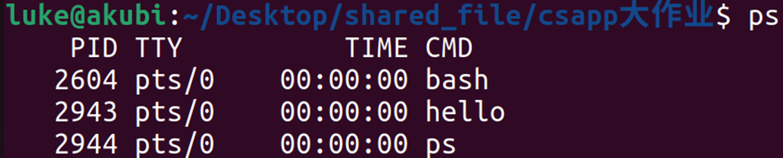 哈工大2025年csapp大作业_哈工大csapp-CSDN博客