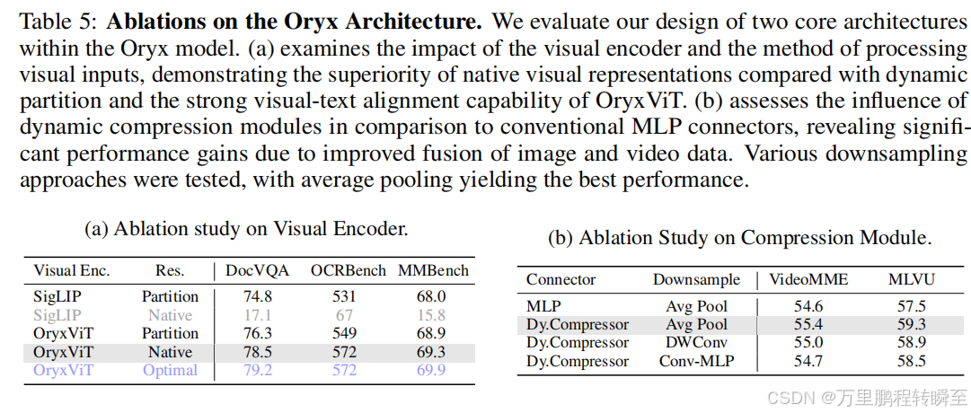 论文阅读：ORYX MLLM: ON-DEMAND SPATIAL-TEMPORAL UNDERSTANDING AT ARBITRARY RESOLUTION-CSDN博客