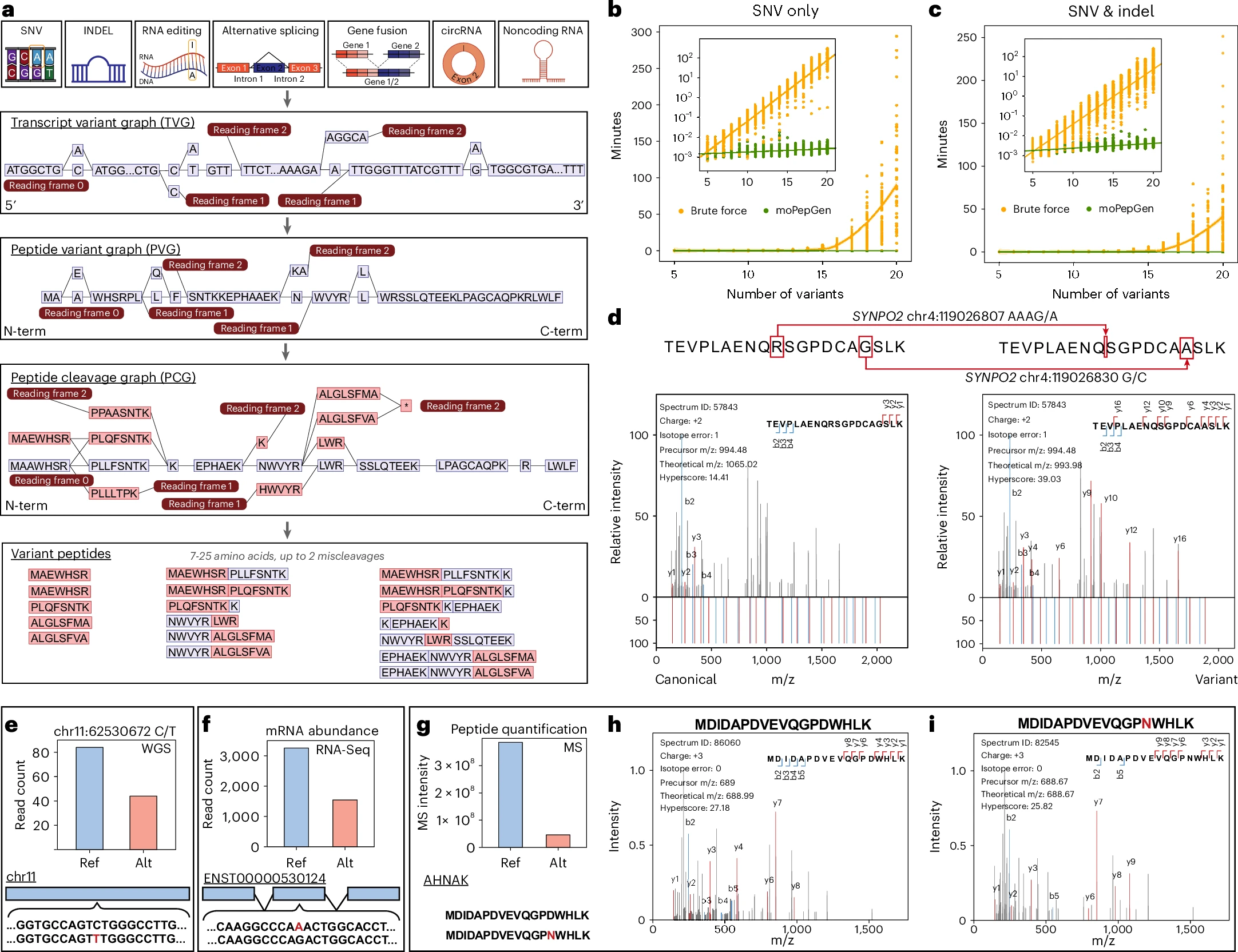 20250623_非经典肽的预测-CSDN博客