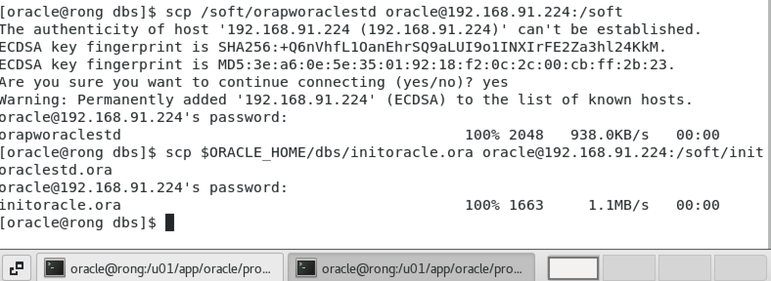oracle数据库ADG主备搭建_oracle adg搭建-CSDN博客