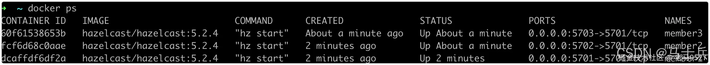 SpringBoot集成Hazelcast-CSDN博客