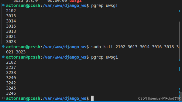 关闭uwsgi-----重启uwsgi_uwsgi 重启-CSDN博客