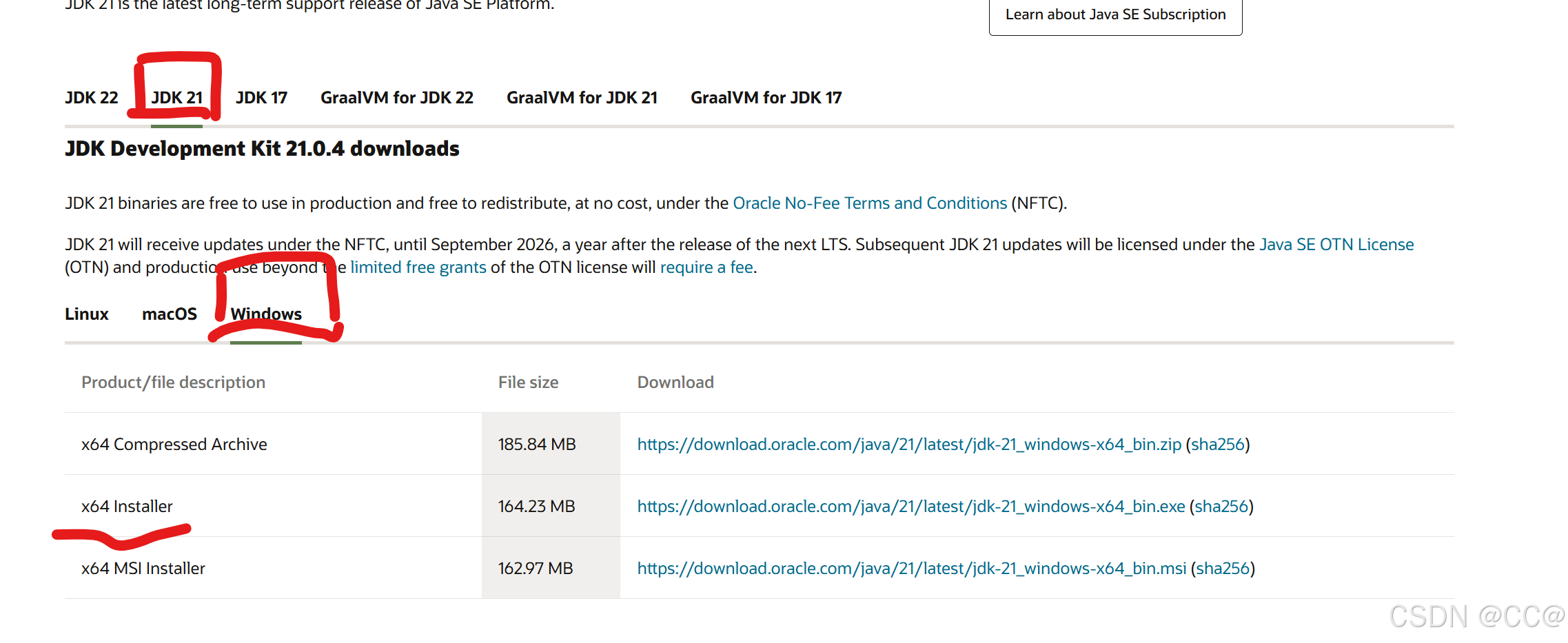 【JDK】零基础安装教程及环境配置_jdk安装csdn-CSDN博客