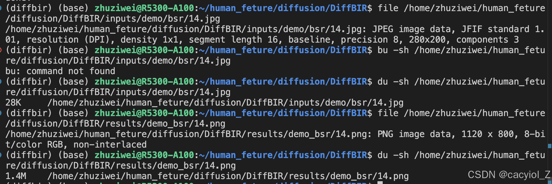 DiffBIR调试记录-CSDN博客