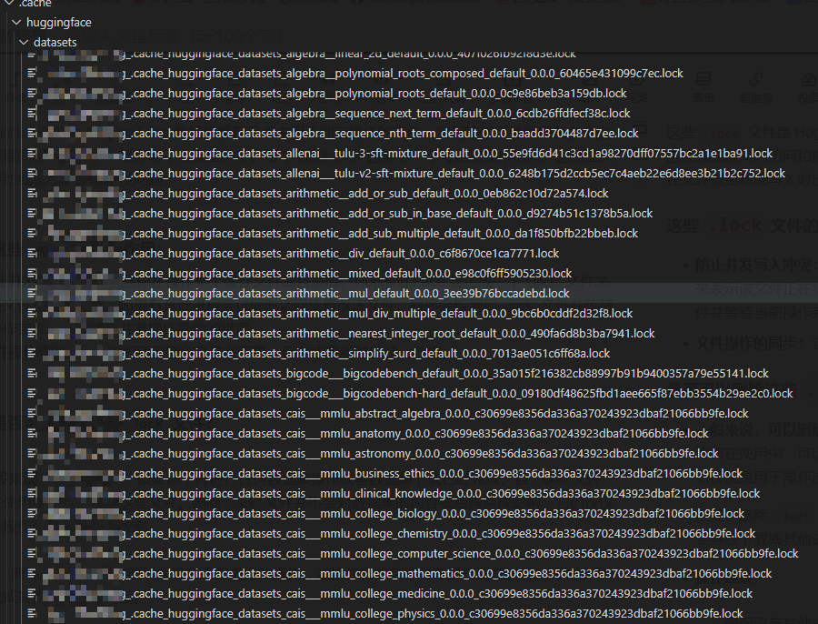 .cache/huggingface/datasets路径下很多.lock文件是什么？可以删除吗？-CSDN博客