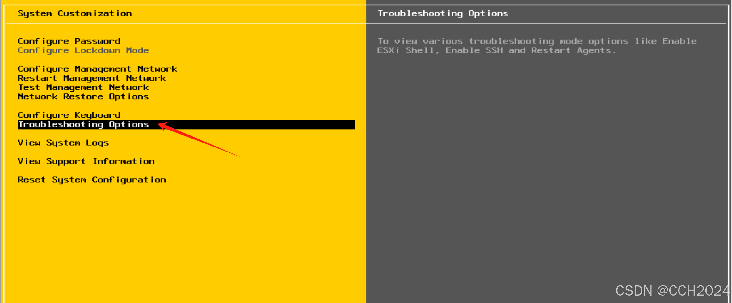 云平台运维管理笔记3—开启ESXI的Shell和SSH功能_esxi开启ssh-CSDN博客