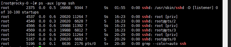 揭秘SSH服务：远程登录的安全保障_查看ssh服务-CSDN博客