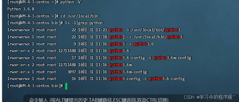 内网环境搭建Python3环境_内网如何安装python库-CSDN博客