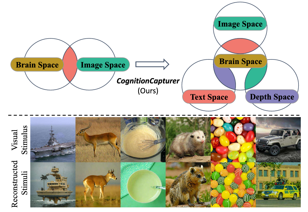 CognitionCapturer: Decoding Visual Stimuli from Human EEG Signal with Multimodal Information论文解读 ...