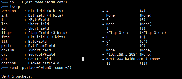 Scapy _scapy ip参数-CSDN博客
