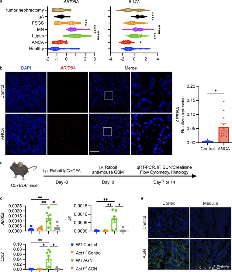 RBP研究技术RIP-seq+Polysome profiling_rna-seq结合rip-seq-CSDN博客