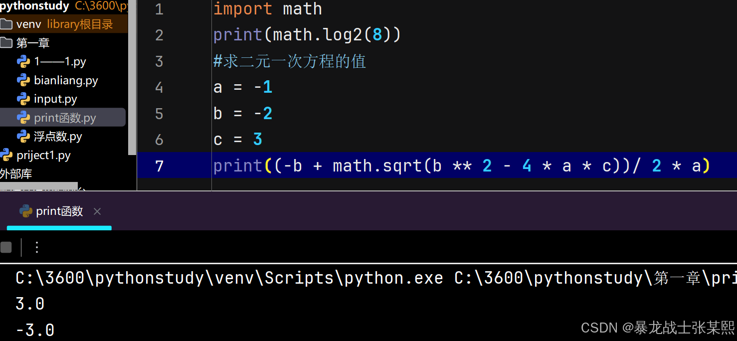 python基础_python print type-CSDN博客