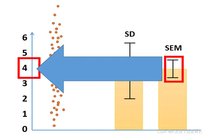 Basic statistics - 04. The standard error of the mean (SEM)-CSDN博客