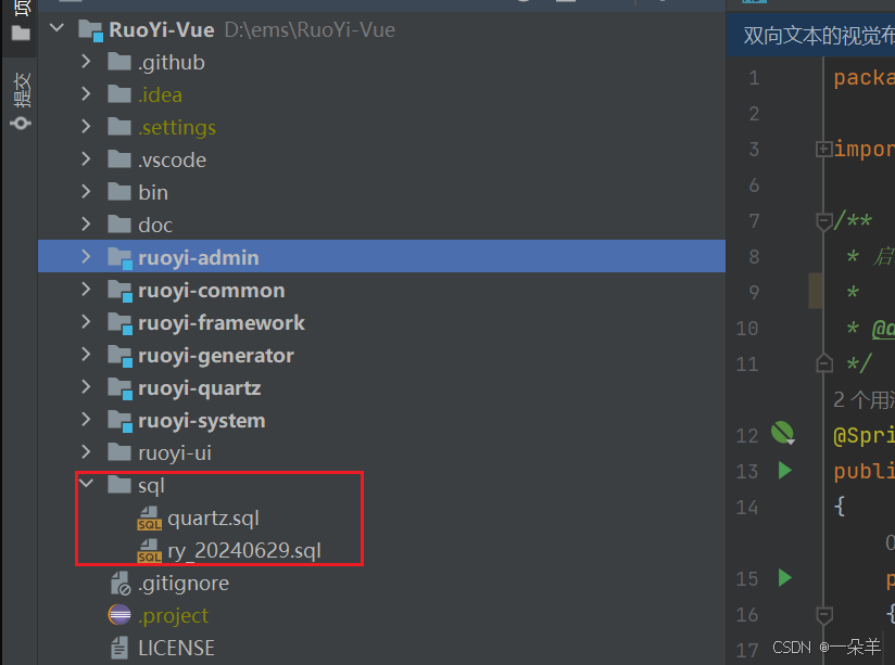 ruoyi框架前后端启动流程(前后端分离版本)_若依框架前端怎么启动-CSDN博客