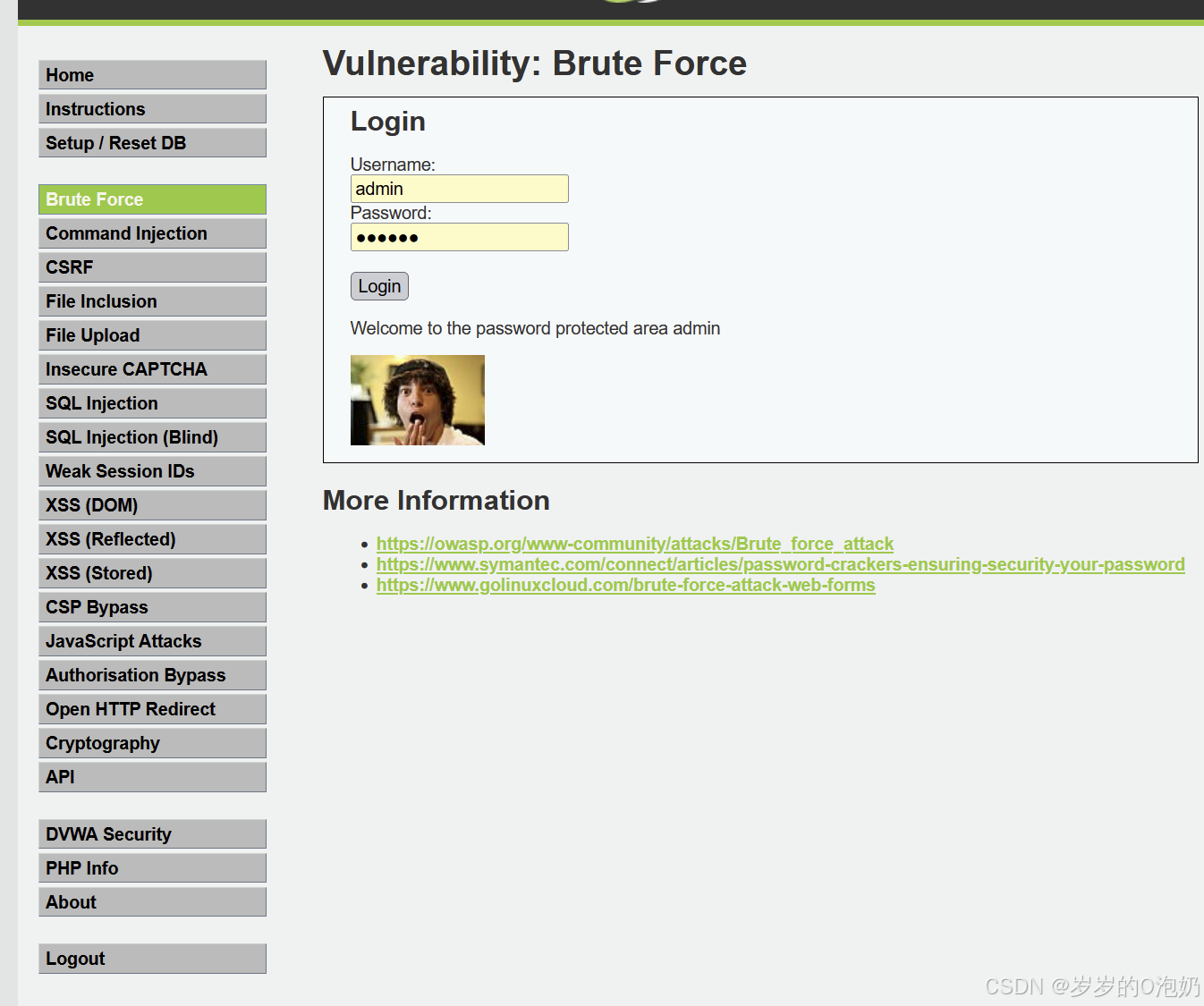 DVWA_Vulnerability: Command Injection-CSDN博客