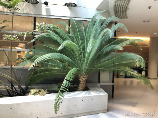 Nerf（Neural Radiance Fields）神经辐射场复现_nerf源代码-CSDN博客